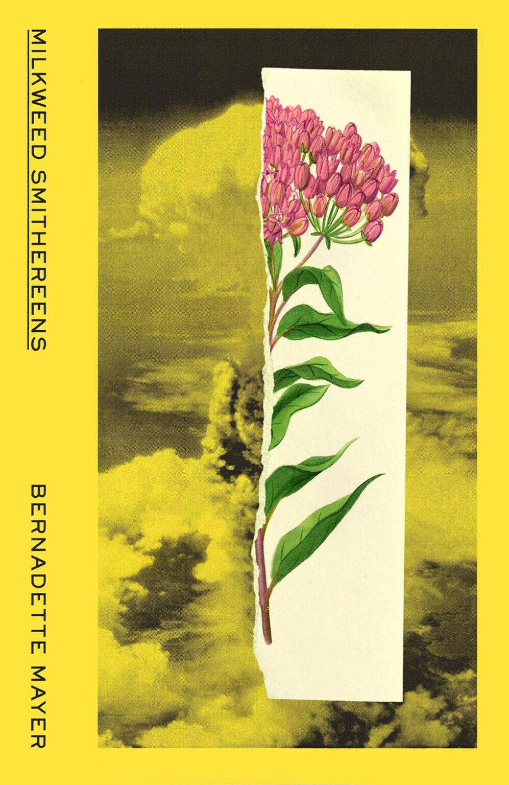 Book Cover & Designers Directory - I Need a Book Cover